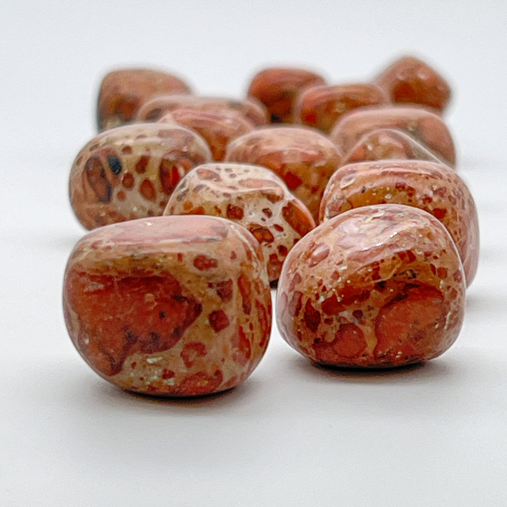 Asteroid Jasper [The Grounded Resilience] Tumble Stone – Prana Harmony