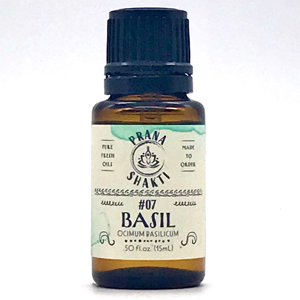 Basil Pure Essential Oil - Herbal – Prana Harmony